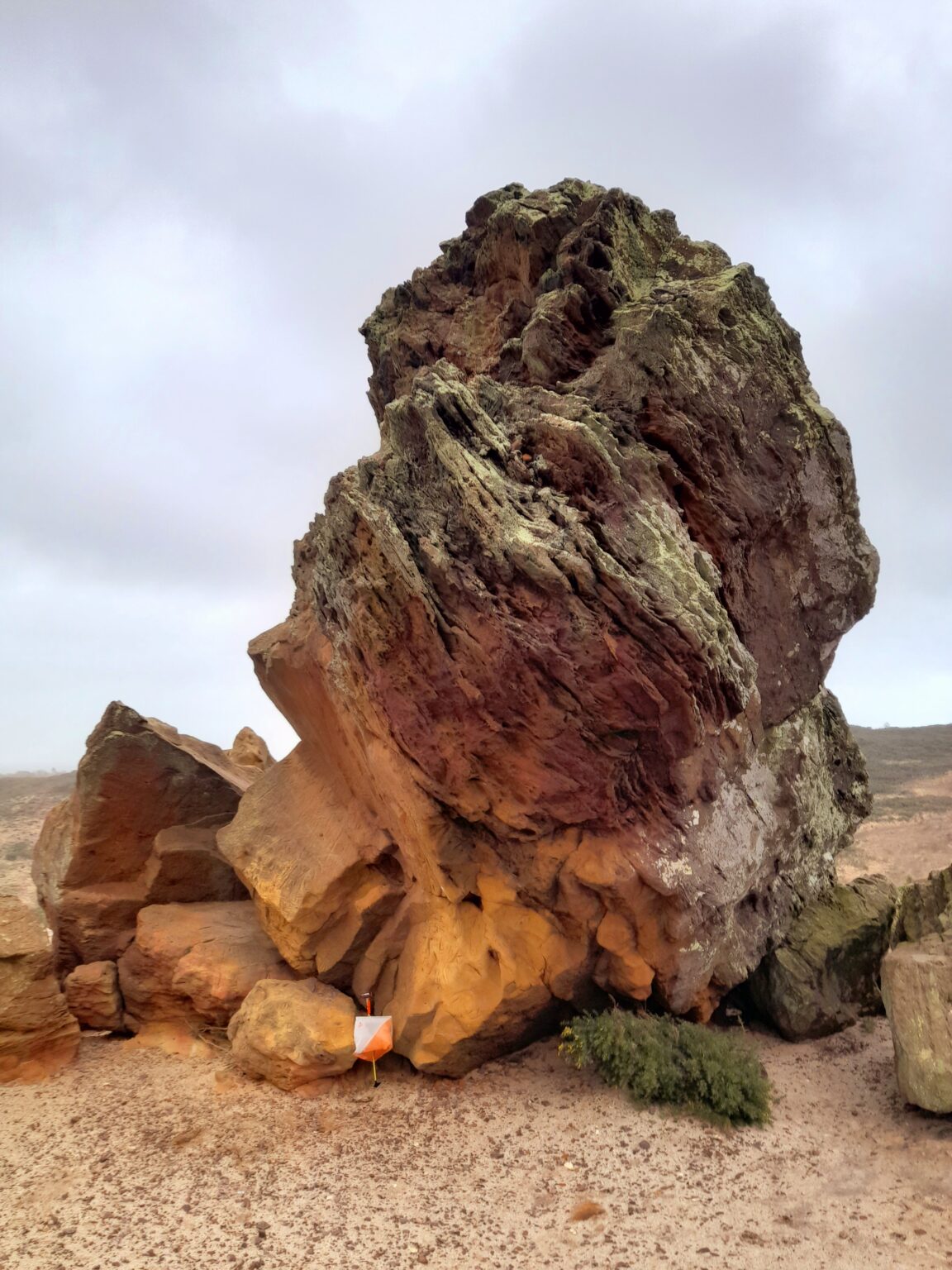 Agglestone & Godlingston Heath | Wessex Orienteering Club